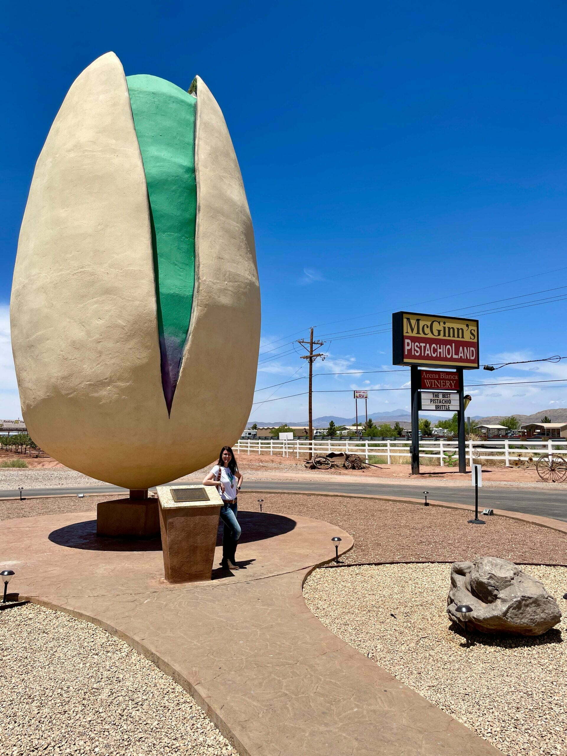 PistachioLand e il pistacchio più grande del mondo - I Viaggi di Giugliver