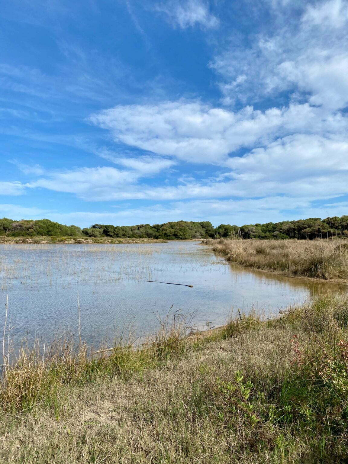 Escursione al Parco Naturale dell'Albufera - I Viaggi di Giugliver